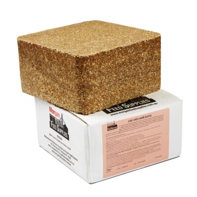 Home - Morgan Feed Supplies